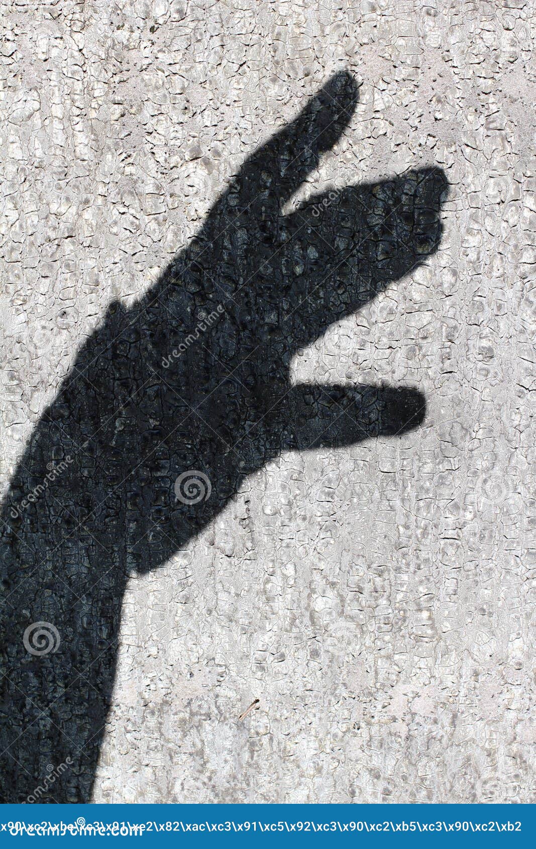 Shadow of hand eight stock image. Image of people, finger - 110548919