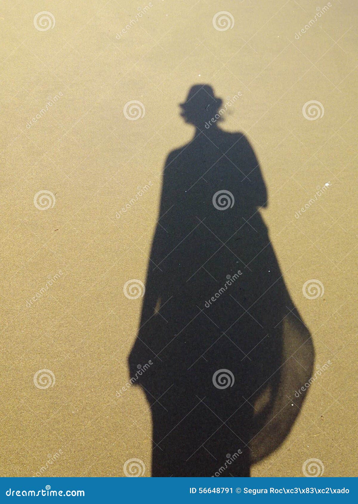 Shadow having a sun bath editorial photo. Image of woman - 56648791