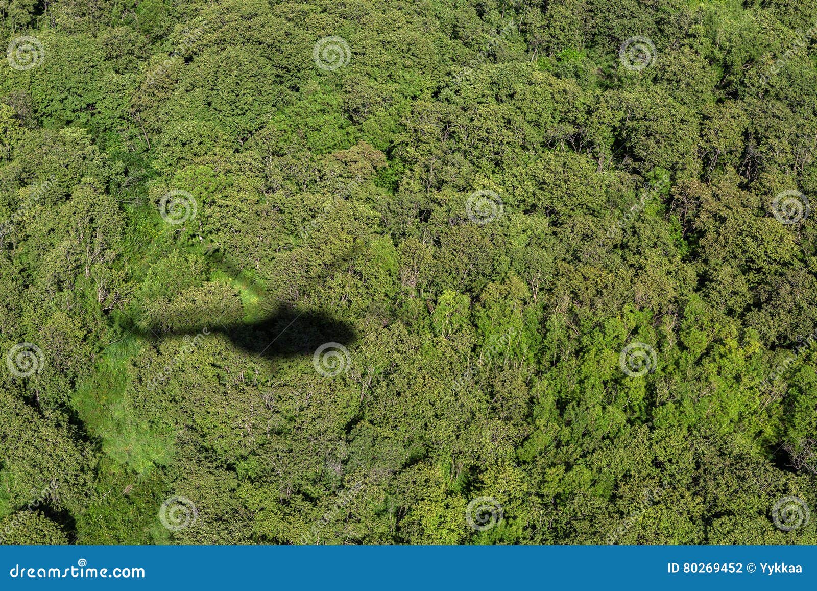 Shadow Helicopter Against the Backdrop of Forest. Stock Photo - Image ...