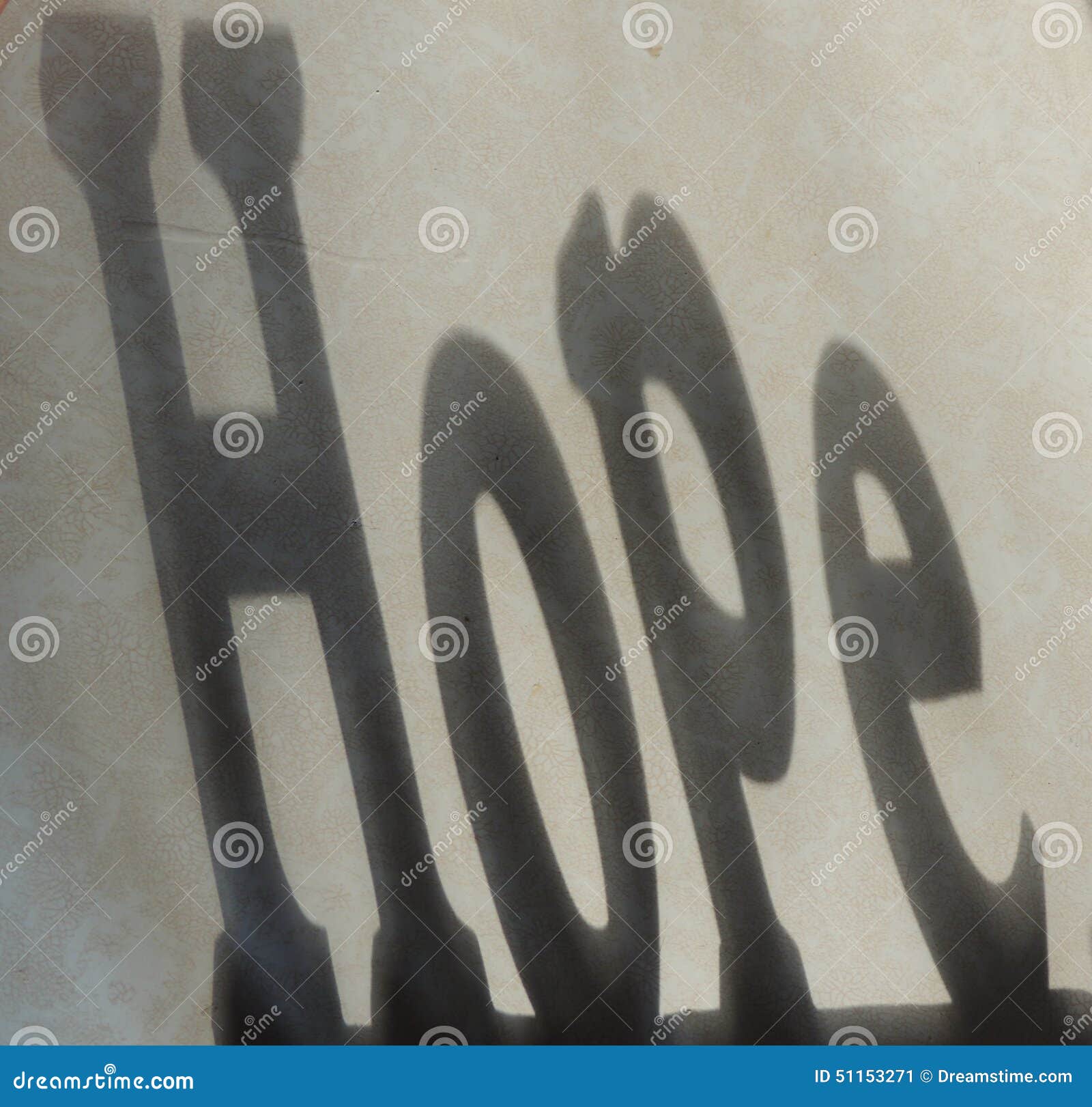 Shadow of Hope stock image. Image of bear, brown, walk - 51153271