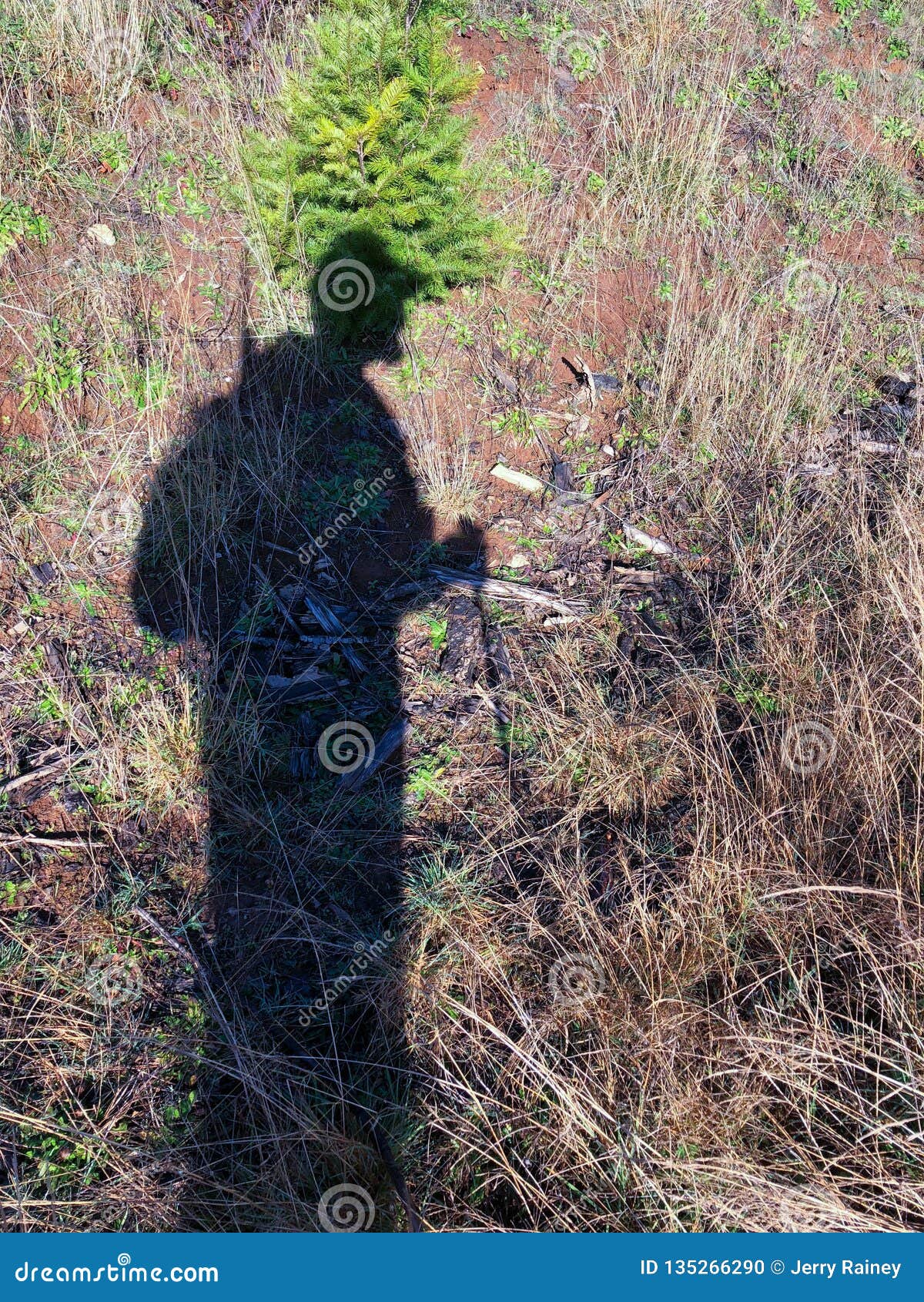 Shadow of a Hunter in the Field Stock Photo - Image of shoot, hike ...