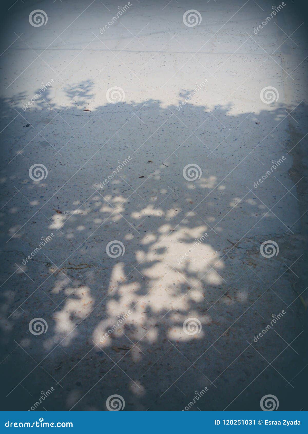 Shadow stock image. Image of shadow, like, black - 120251031