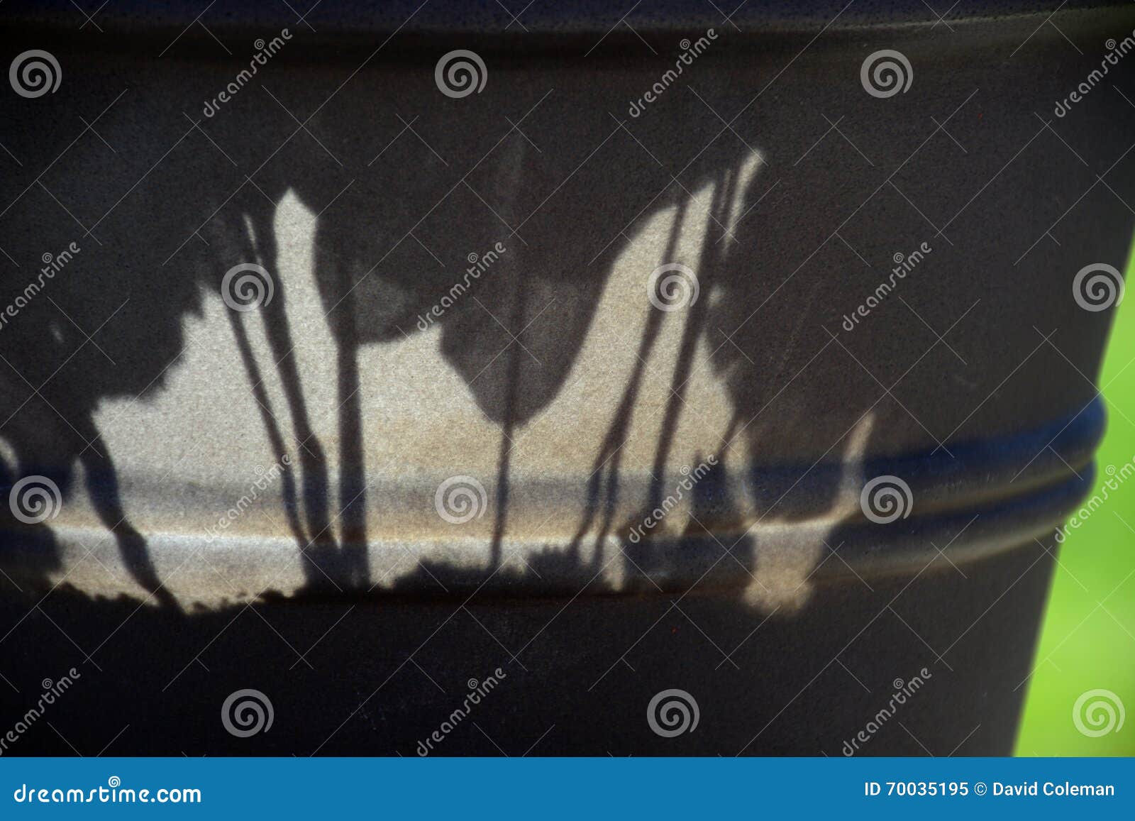 Shadow image stock image. Image of flower, decoration - 70035195