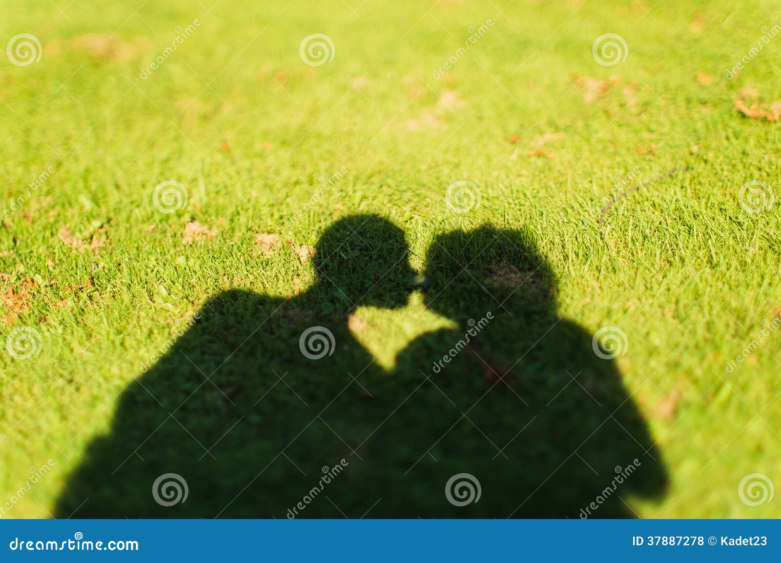 Shadow of a kiss stock photo. Image of face, young, kissing - 37887278