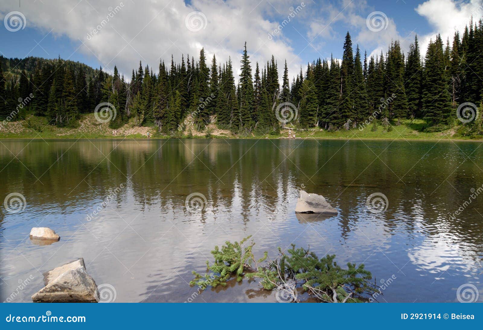 Shadow Lake stock photo. Image of park, high, cloud, reflection - 2921914