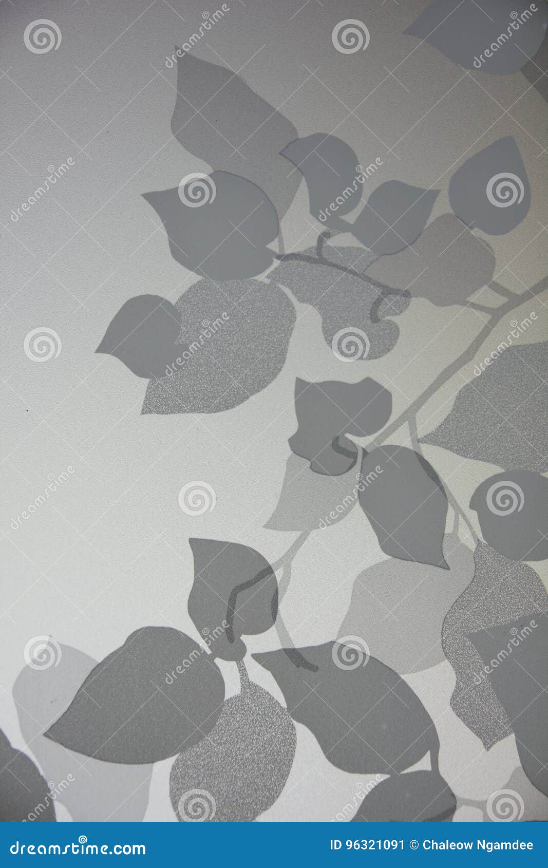 Shadow Of Leaf From Window. Leaves Shadow Isolated On Transparent ...