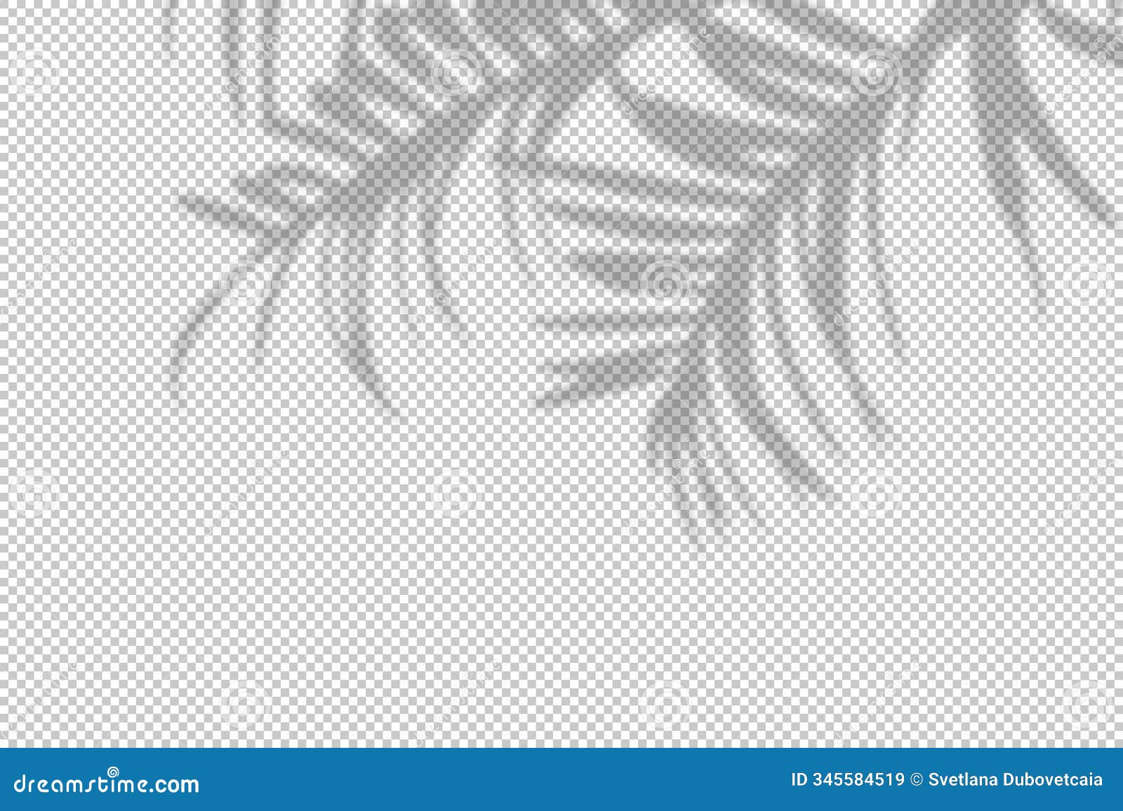 Shadow Of Leaf From Window. Shadows Palm Leave Isolated On Transparent ...