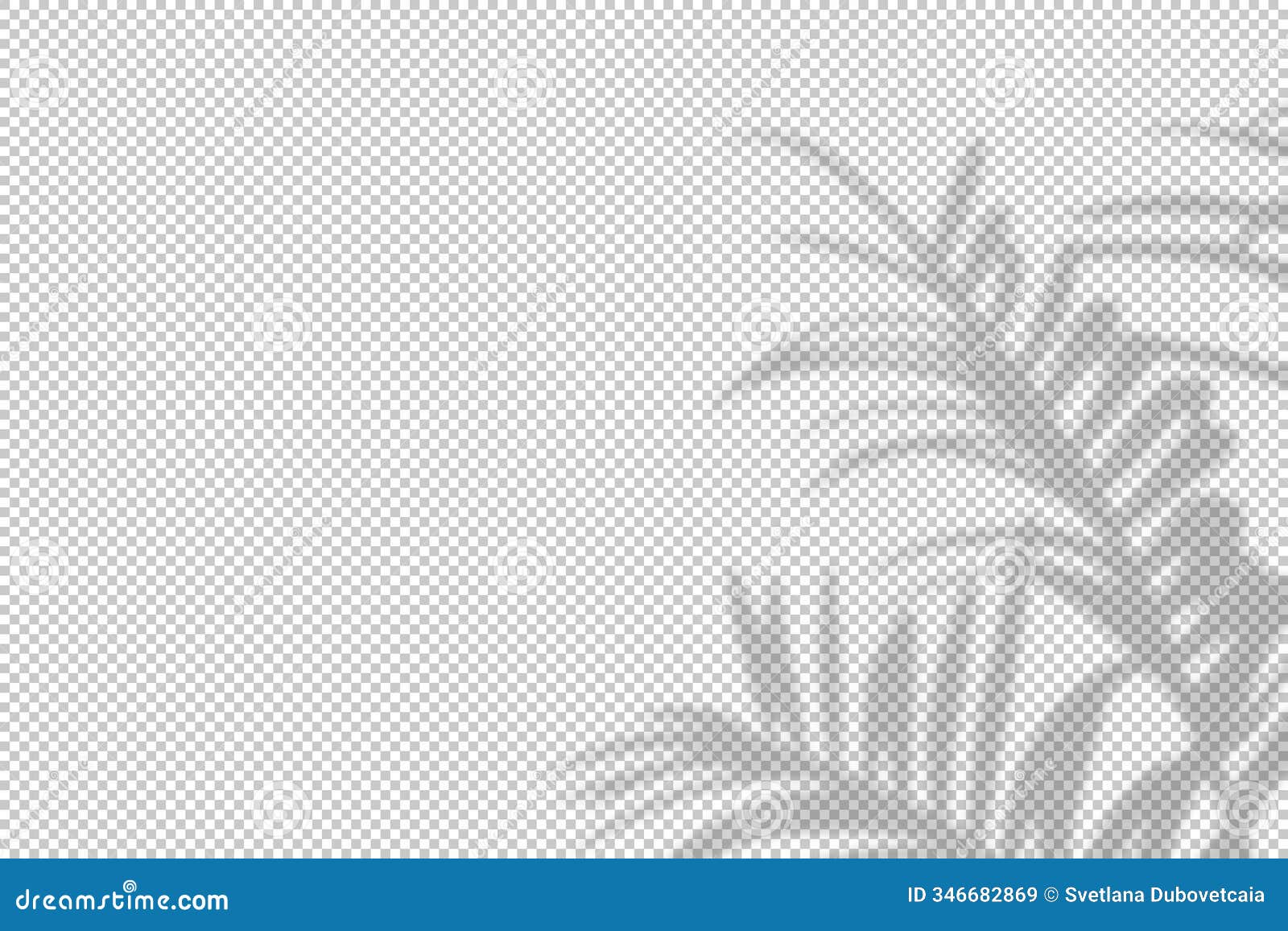 Shadow of Leaf from Window. Shadows Palm Leave Isolated on Transparent ...