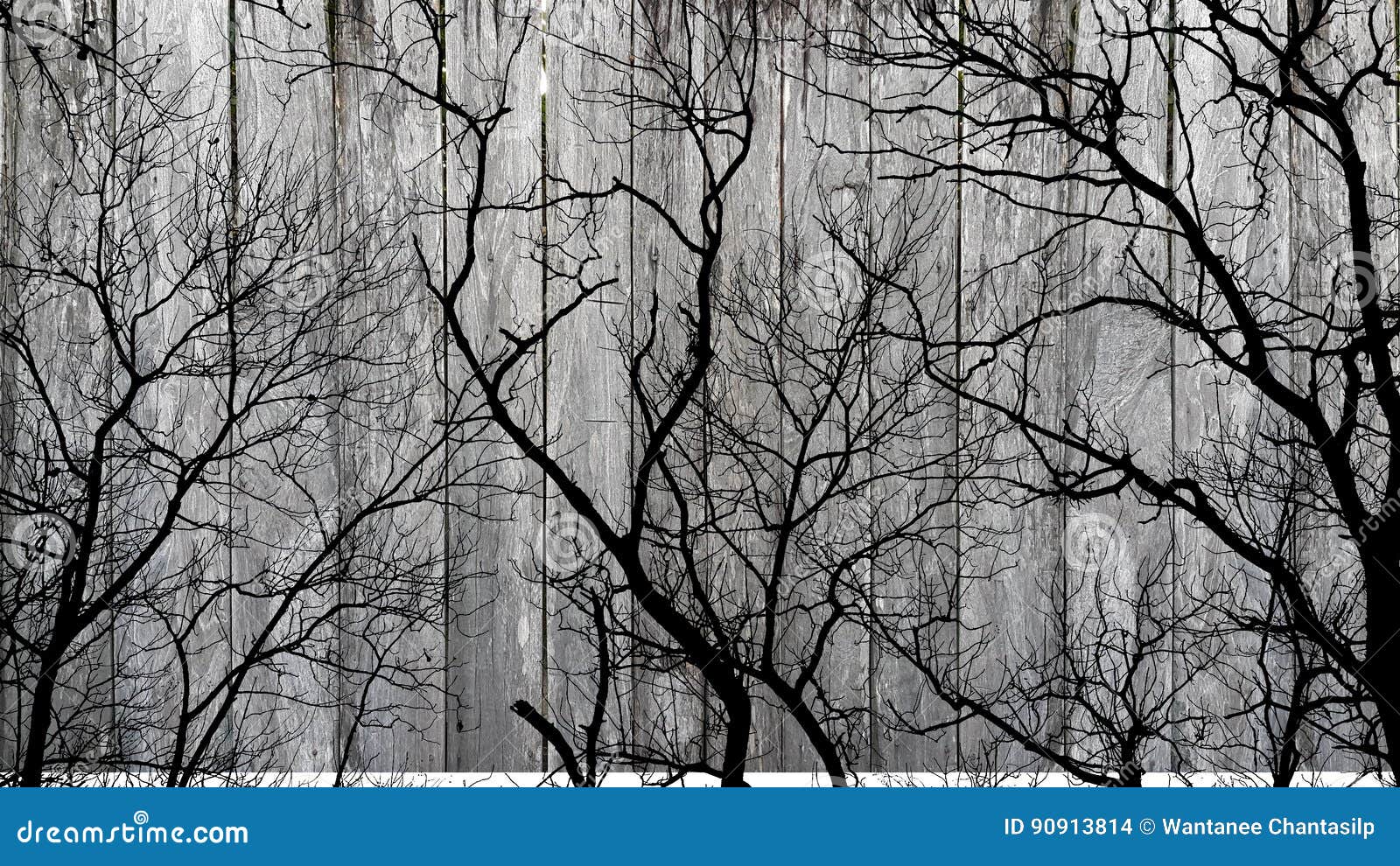 Shadow of Leafless Tree Branches on Wooden Background Stock Photo ...