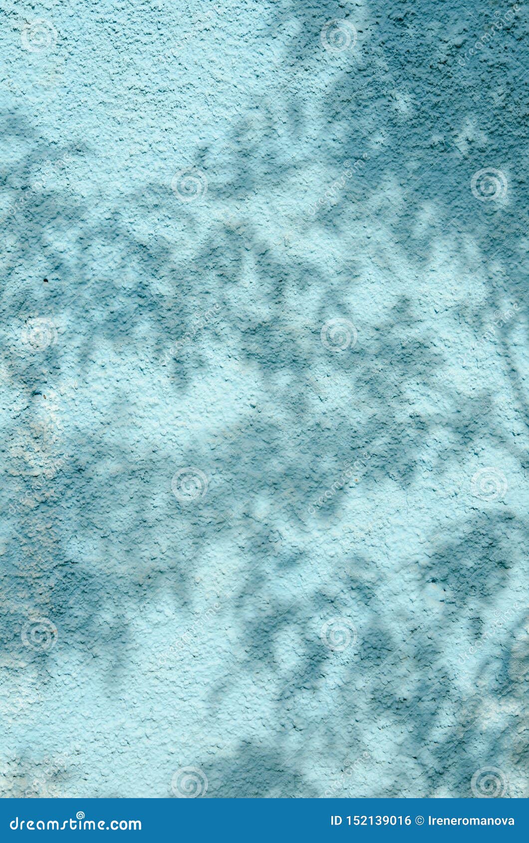 Shadow of the Leaves on a Blue Wall. Stock Photo - Image of decoration ...