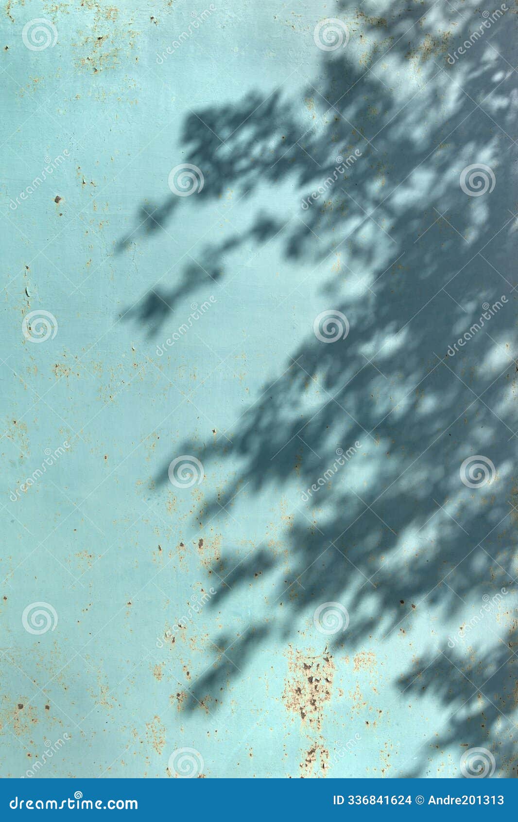 Shadow of Leaves and Branches of Deciduous Tree on Blue Old Rusty Wall ...