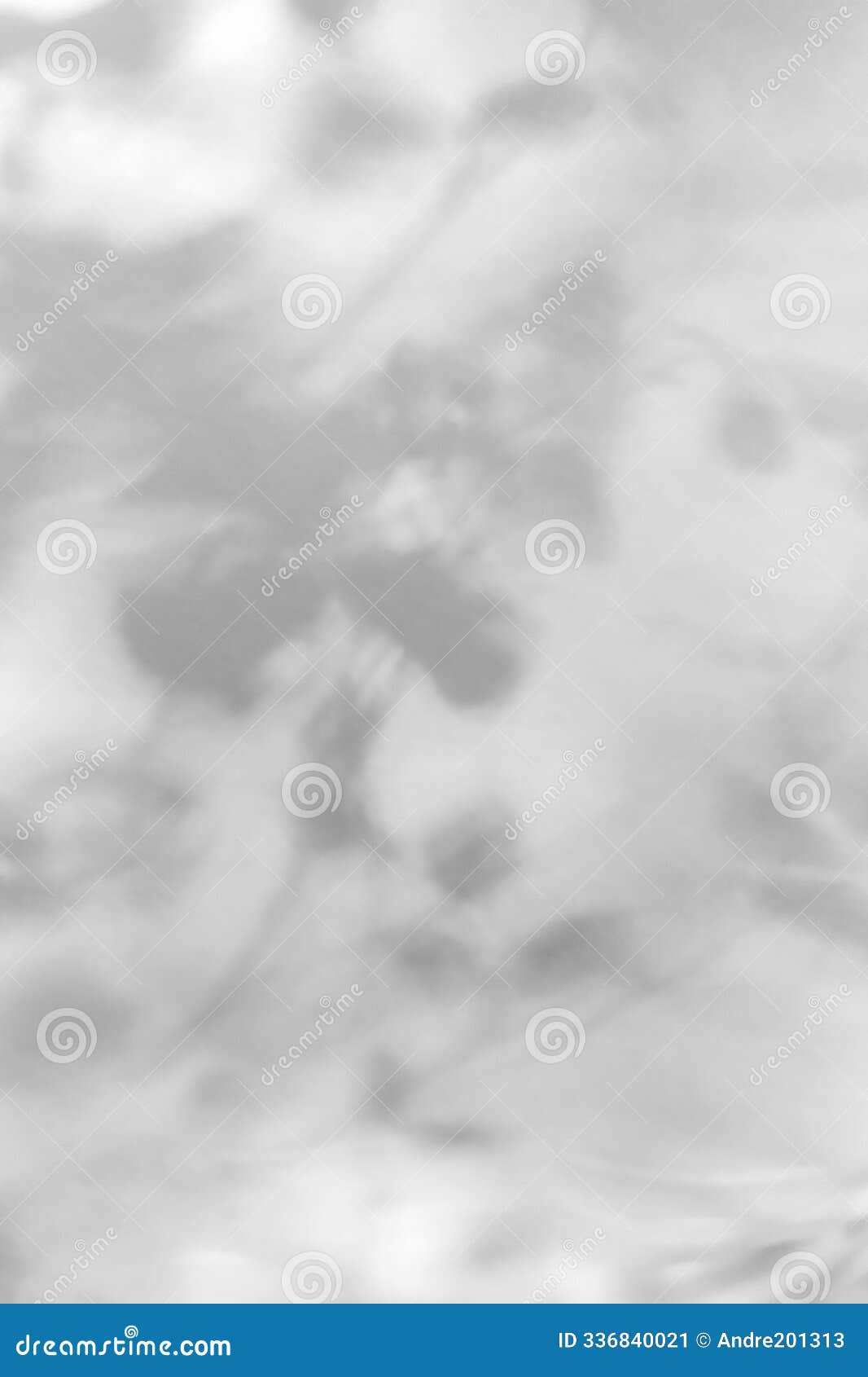 Shadow of Leaves and Branches of Deciduous Tree on White Wall Stock ...