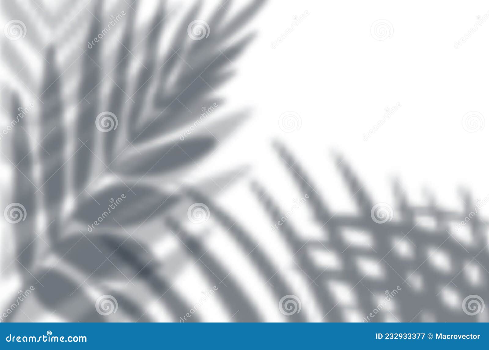 Shadow of Leaves Composition Stock Vector - Illustration of wall, blank ...