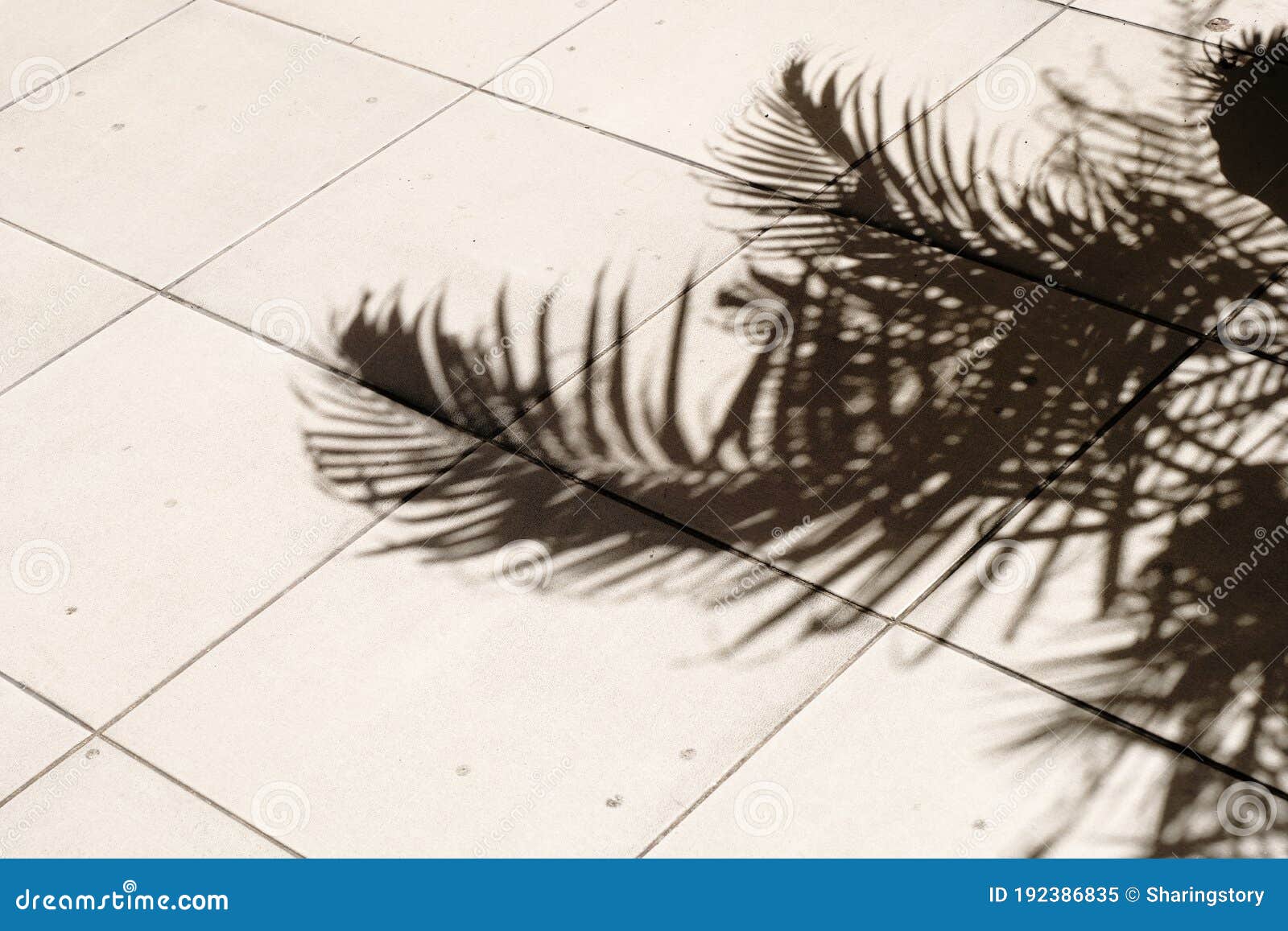 Shadow of the Leaves on Floor Stock Image - Image of background ...
