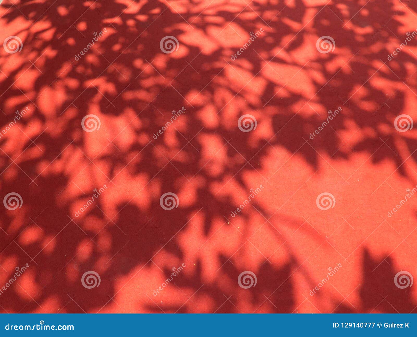 Tree Leaves Shadow in Red Carpet Stock Image - Image of plant, shadow ...