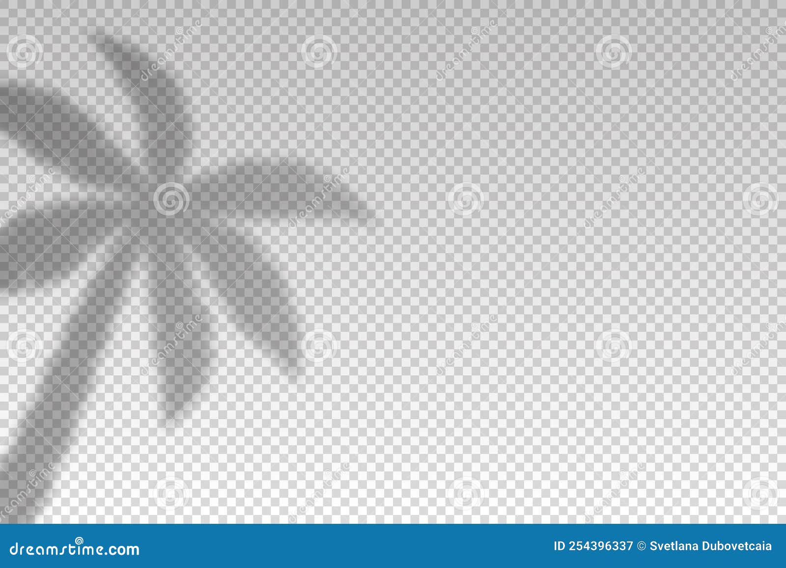 Shadow Leaves. Shade Wall. Tropical Plants Leafs Reflection Overlay ...