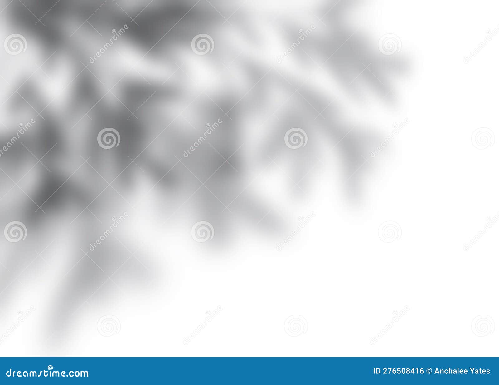 8 4 23-shadow Leaves 3Silhouette Leaves Shadow on White Background ...