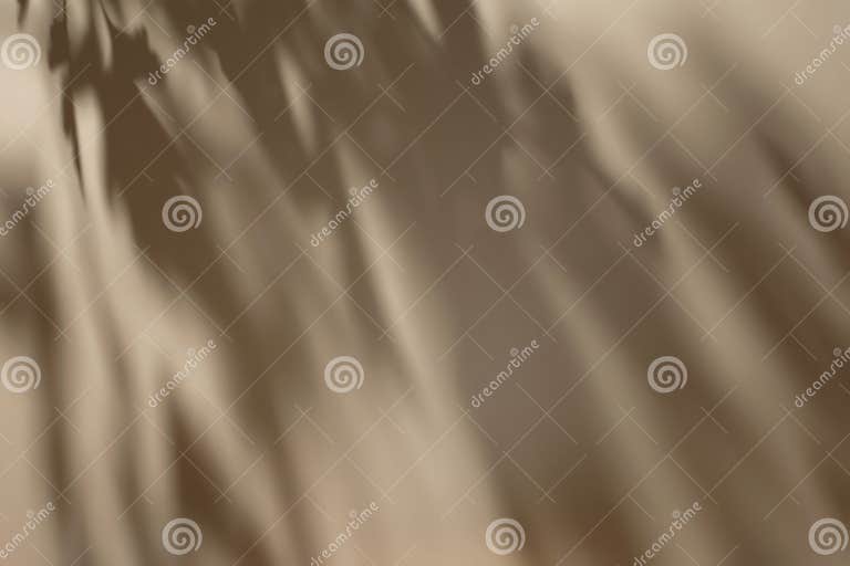 Shadow of Leaves on Solid Beige Wall Texture Background Stock Image ...