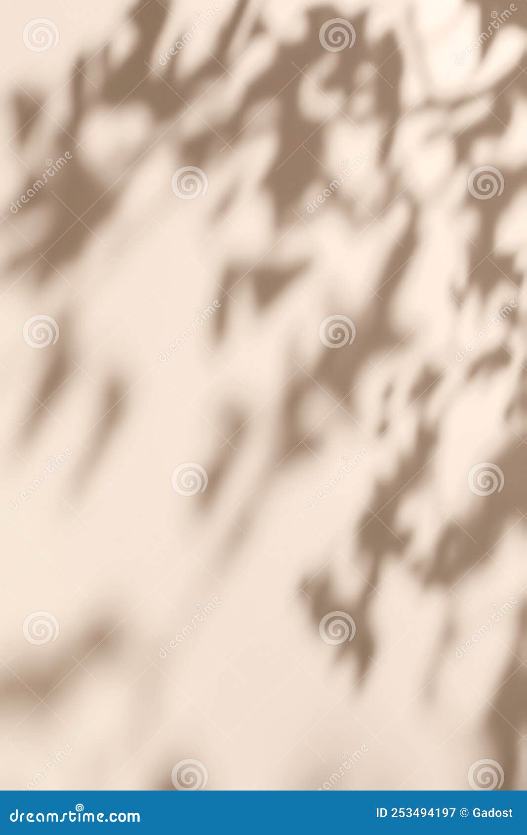 Shadow of Leaves on Solid Beige Wall Texture Background Stock Image ...