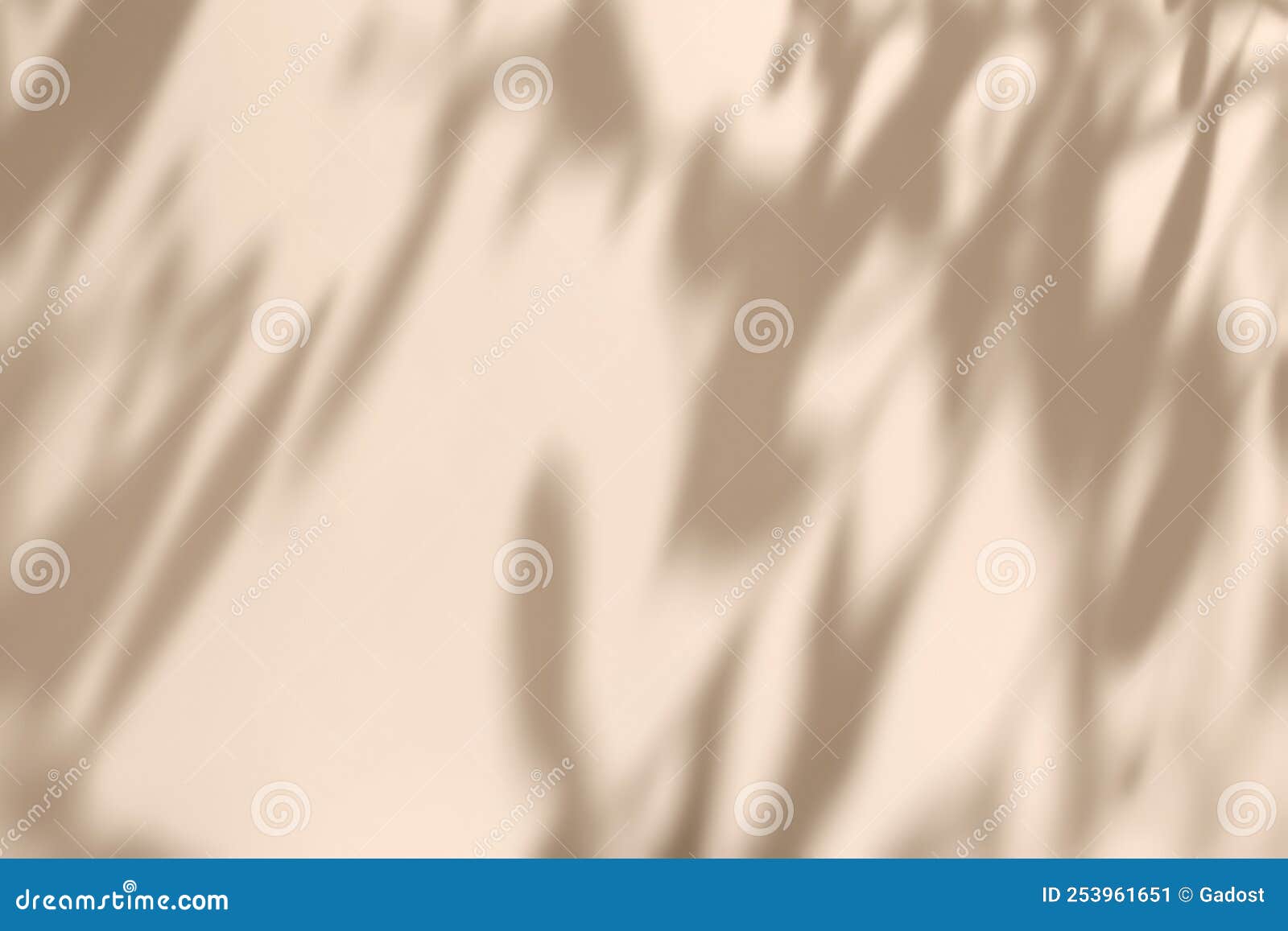 Shadow of Leaves on Solid Beige Wall Texture Background Stock Image ...