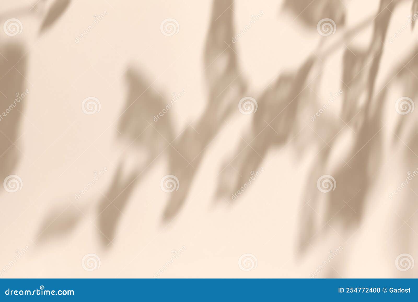 Shadow of Leaves on Solid Beige Wall Texture Background Stock Photo ...