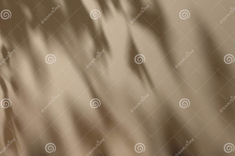 Shadow of Leaves on Solid Beige Wall Texture Background Stock Image ...