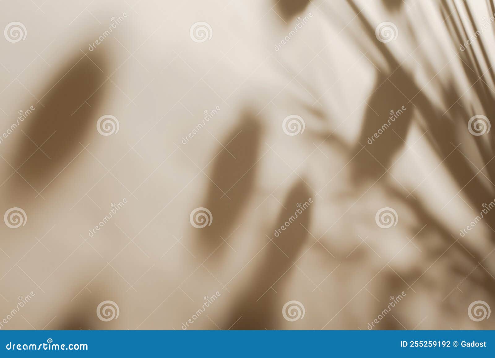 Shadow of Leaves on Solid Beige Wall Texture Background Stock Photo ...