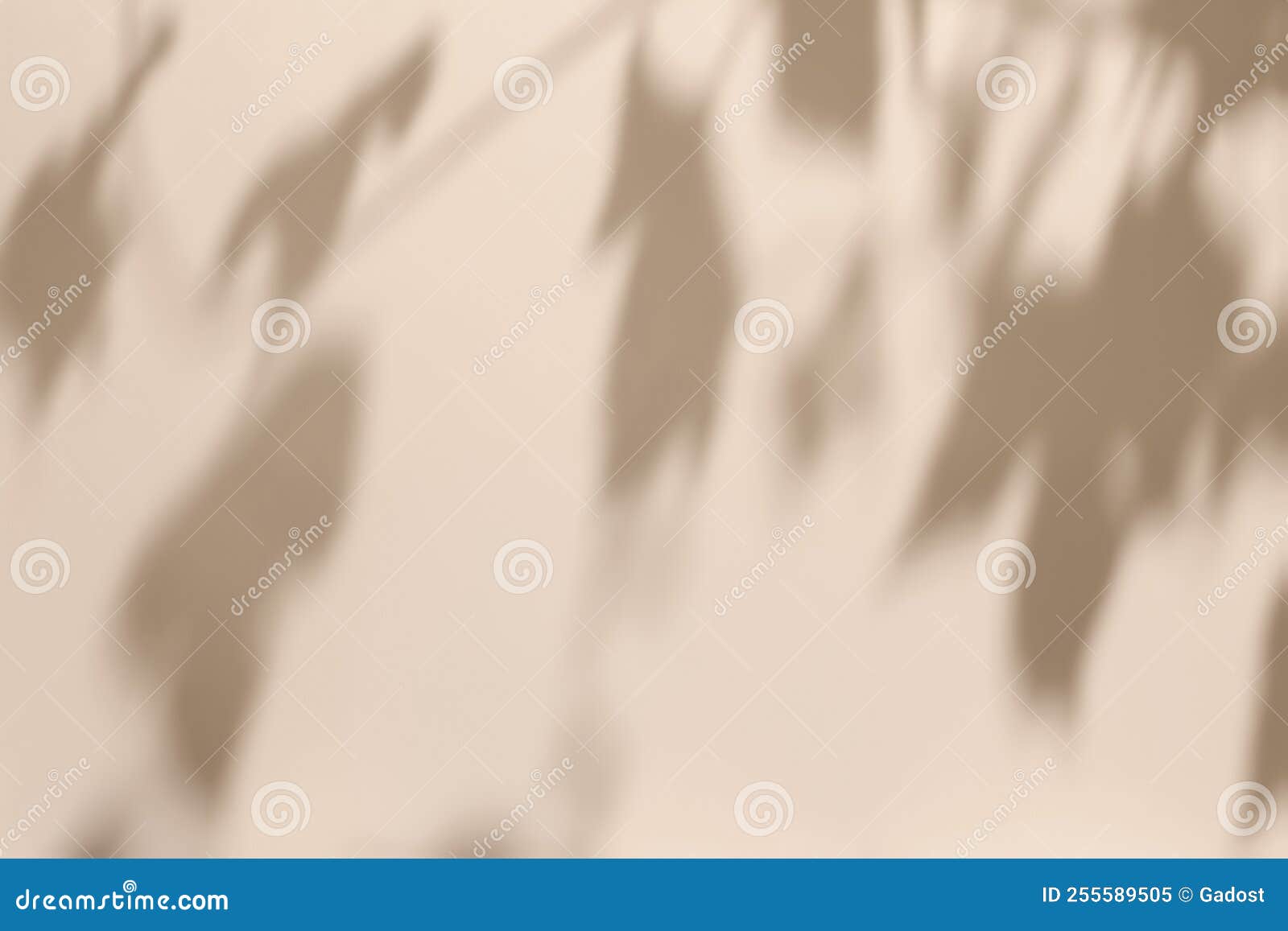 Shadow of Leaves on Solid Beige Wall Texture Background Stock Image ...