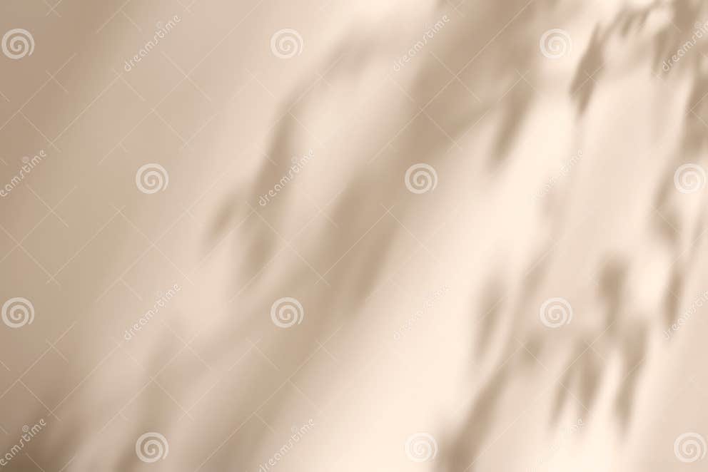 Shadow of Leaves on Solid Beige Wall Texture Background Stock Image ...