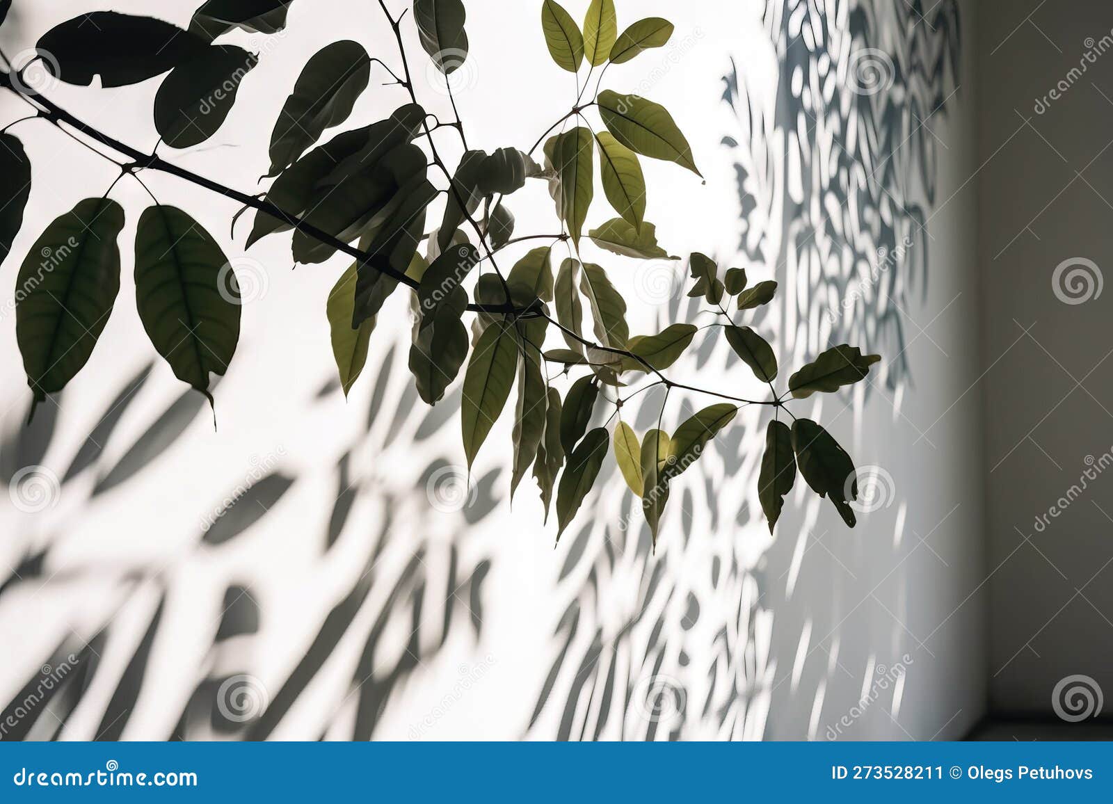 A Shadow of Leaves on the Wall of a Building with a Shadow of a Tree on ...