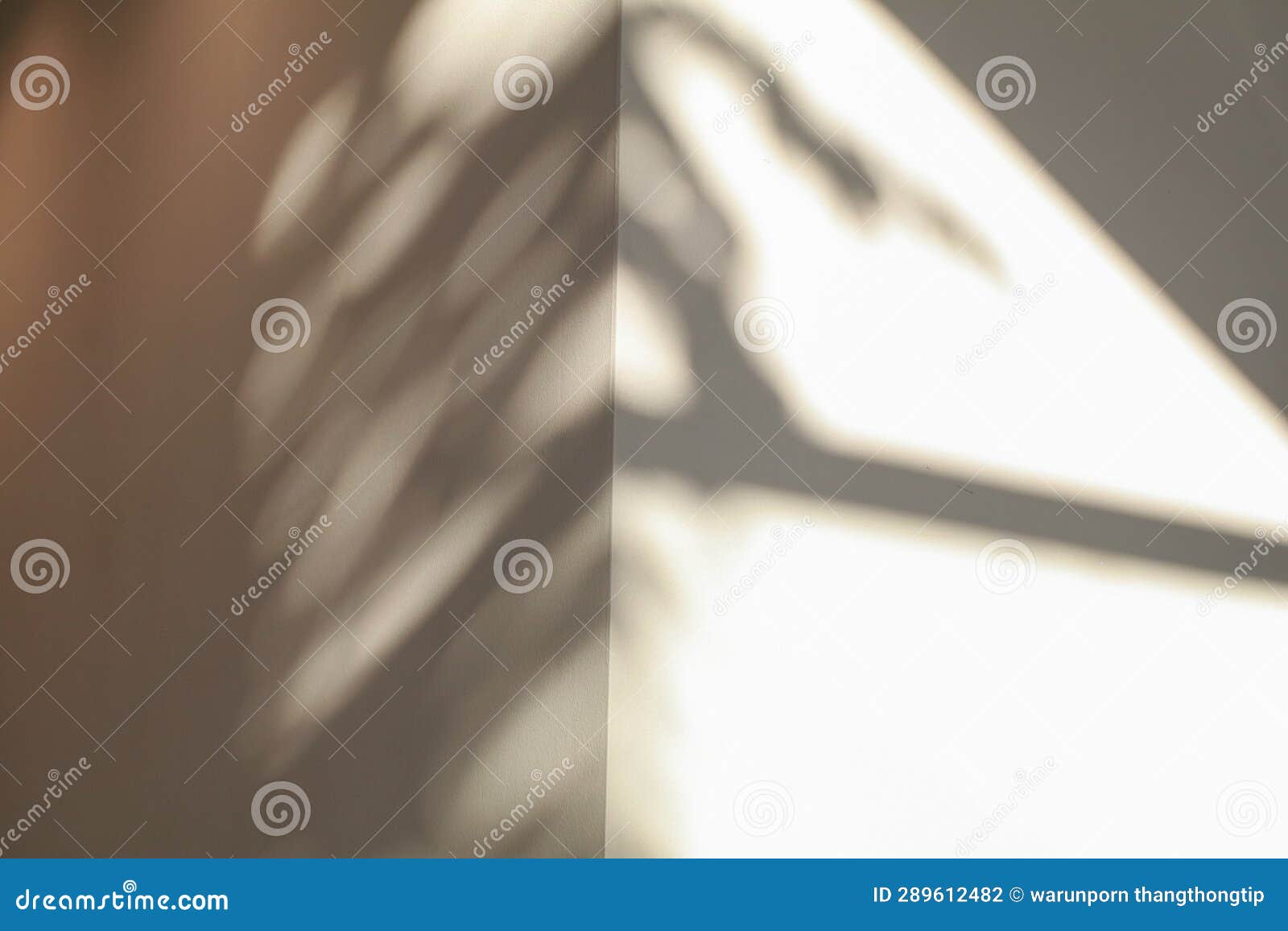 Shadow of the Leaves on White Corner Concrete Wall Texture. Sunshade ...