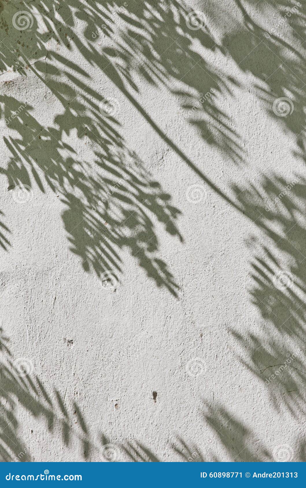 The Shadow of the Leaves on a White Wall Stock Image - Image of ...