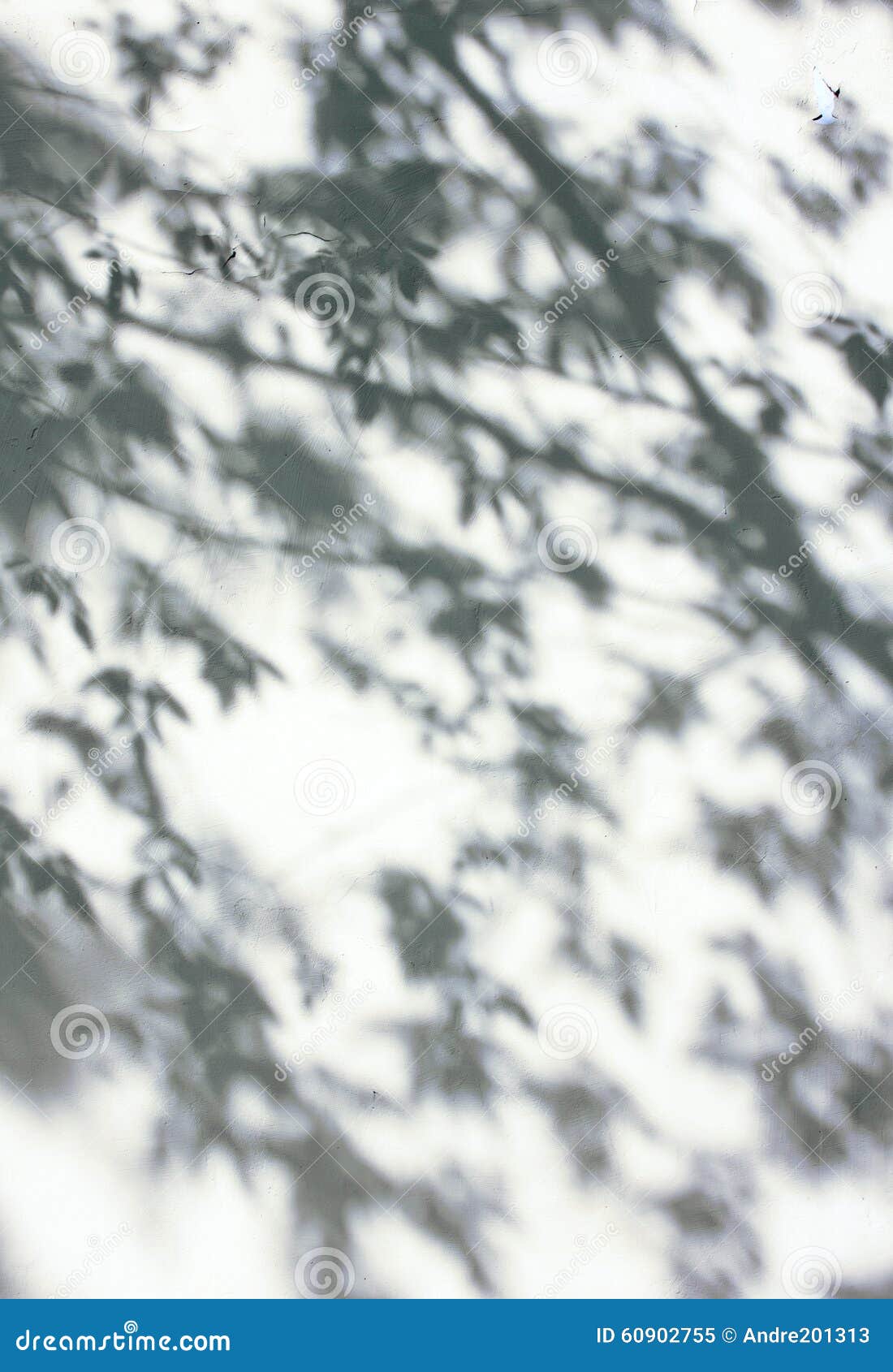 The Shadow of the Leaves on a White Wall Stock Image - Image of ...