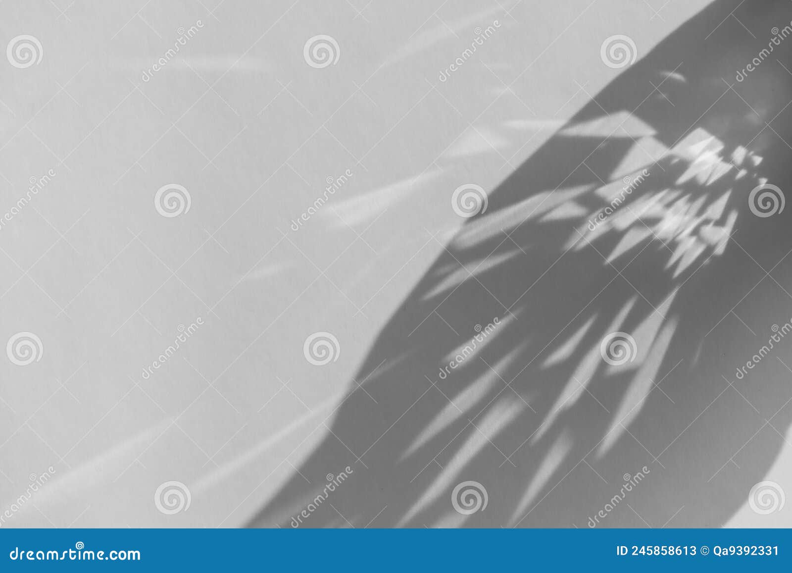 Shadow and Light Refraction on White Wall Overlay Photo Effect, Sun ...