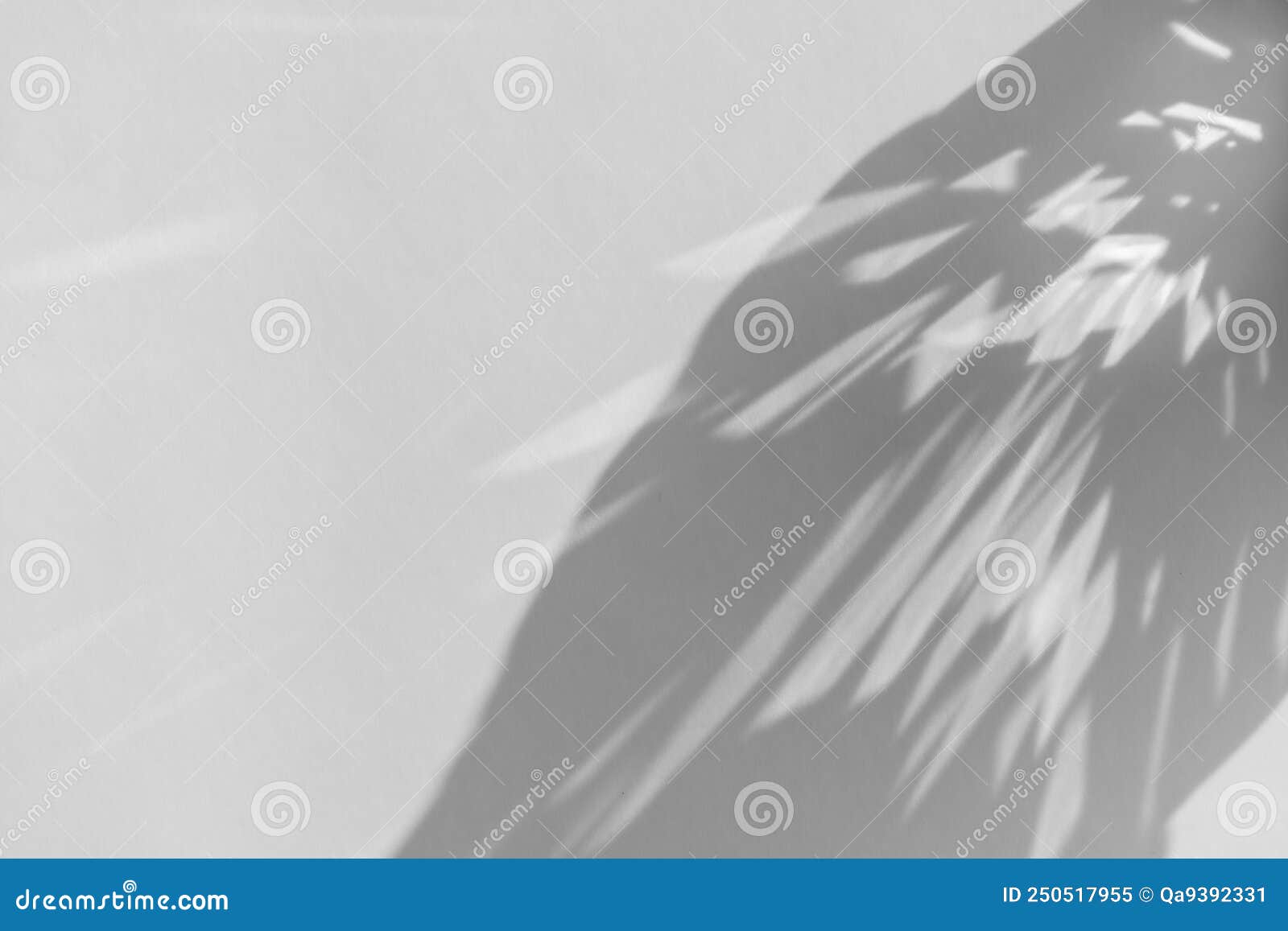 Shadow and Light Refraction on White Wall Overlay Photo Effect, Sun ...