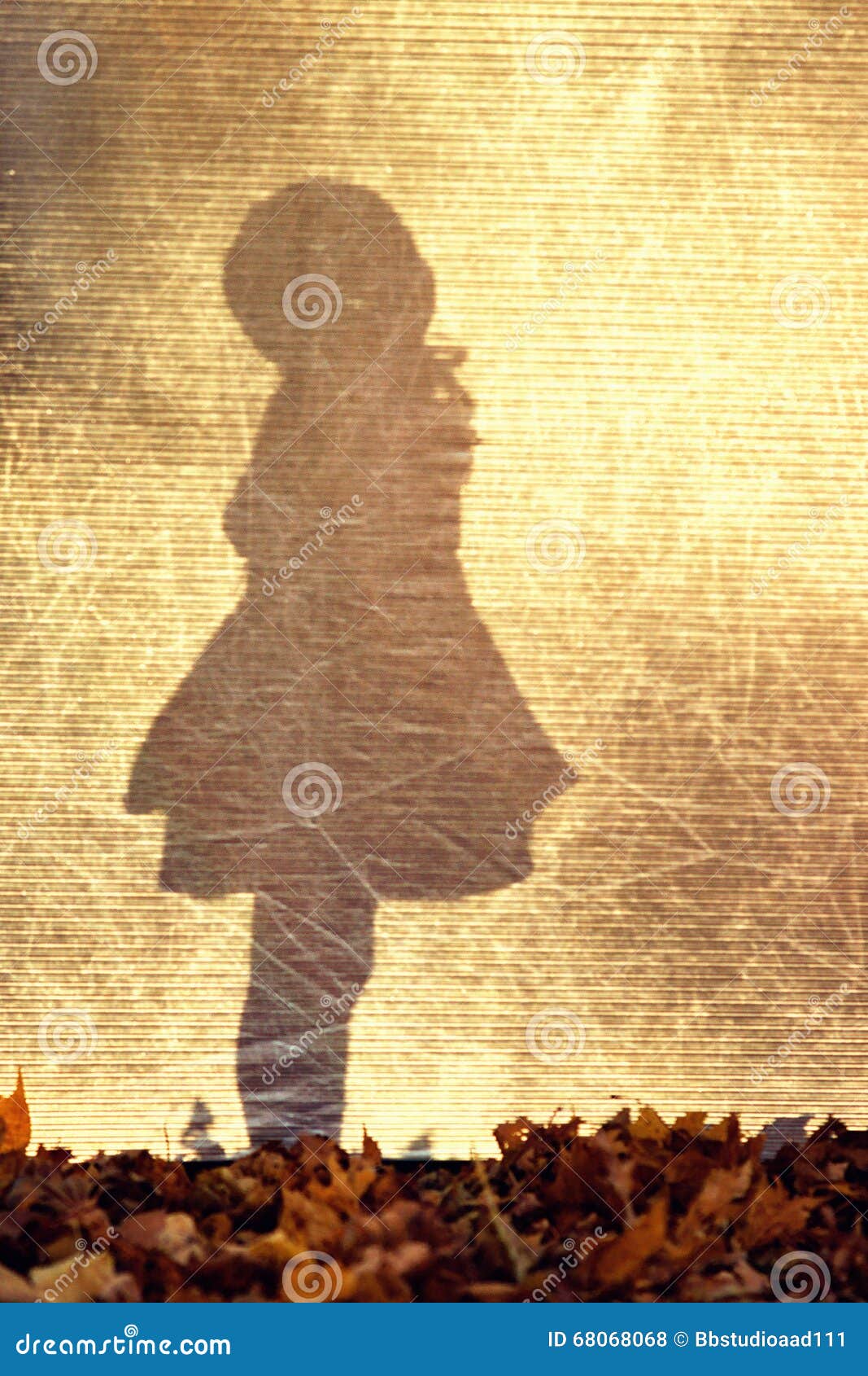 Shadow of a little girl stock photo. Image of girl, fall - 68068068