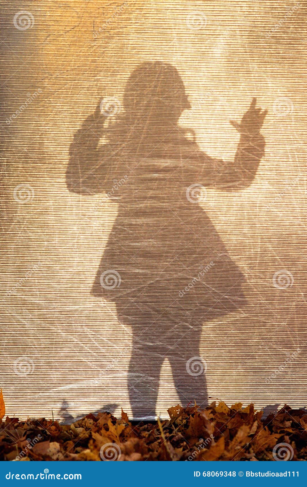 Shadow of a little girl stock photo. Image of child, standing - 68069348