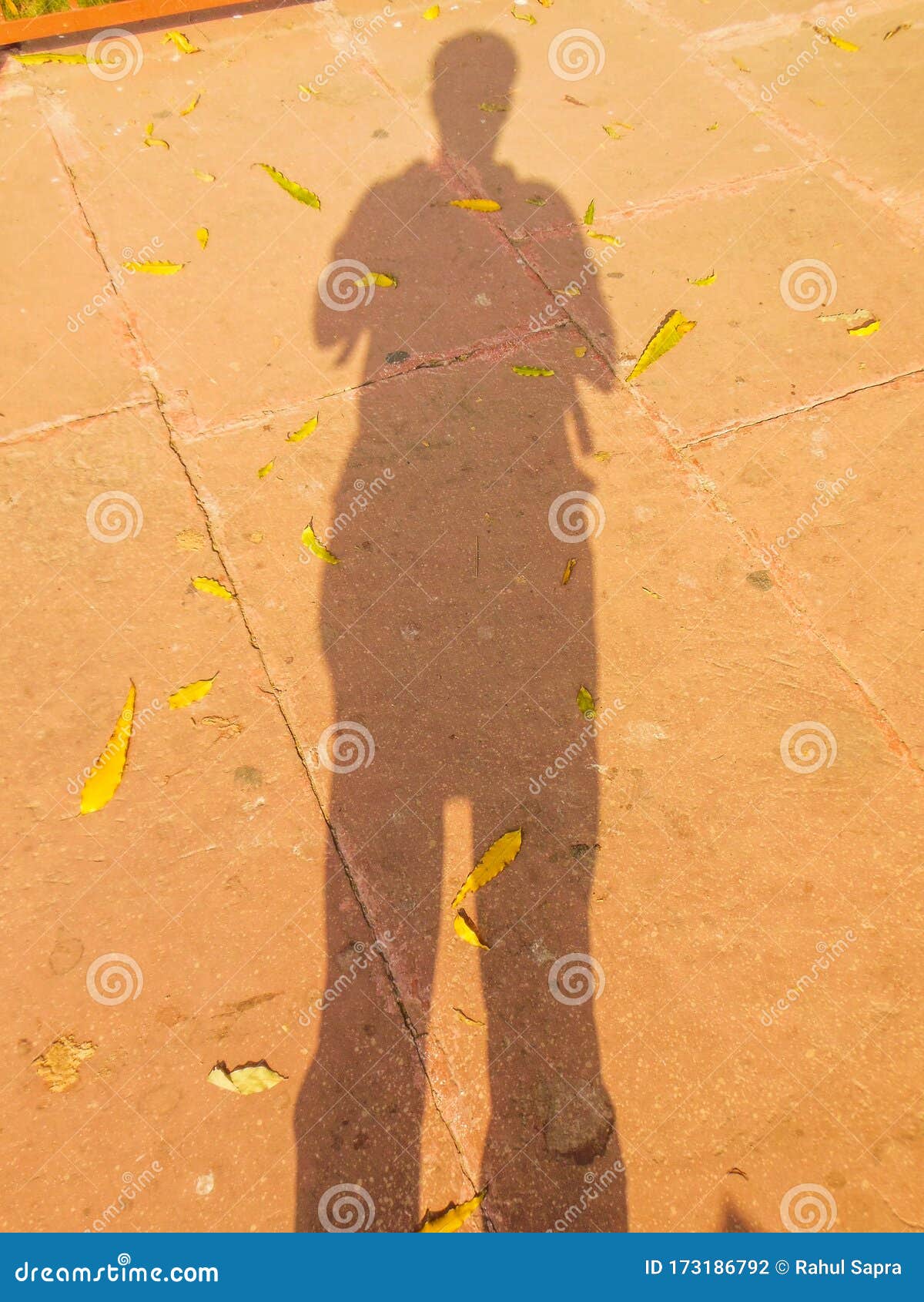 Shadow of a Man during the Day Sunlight in Delhi India Stock Photo ...