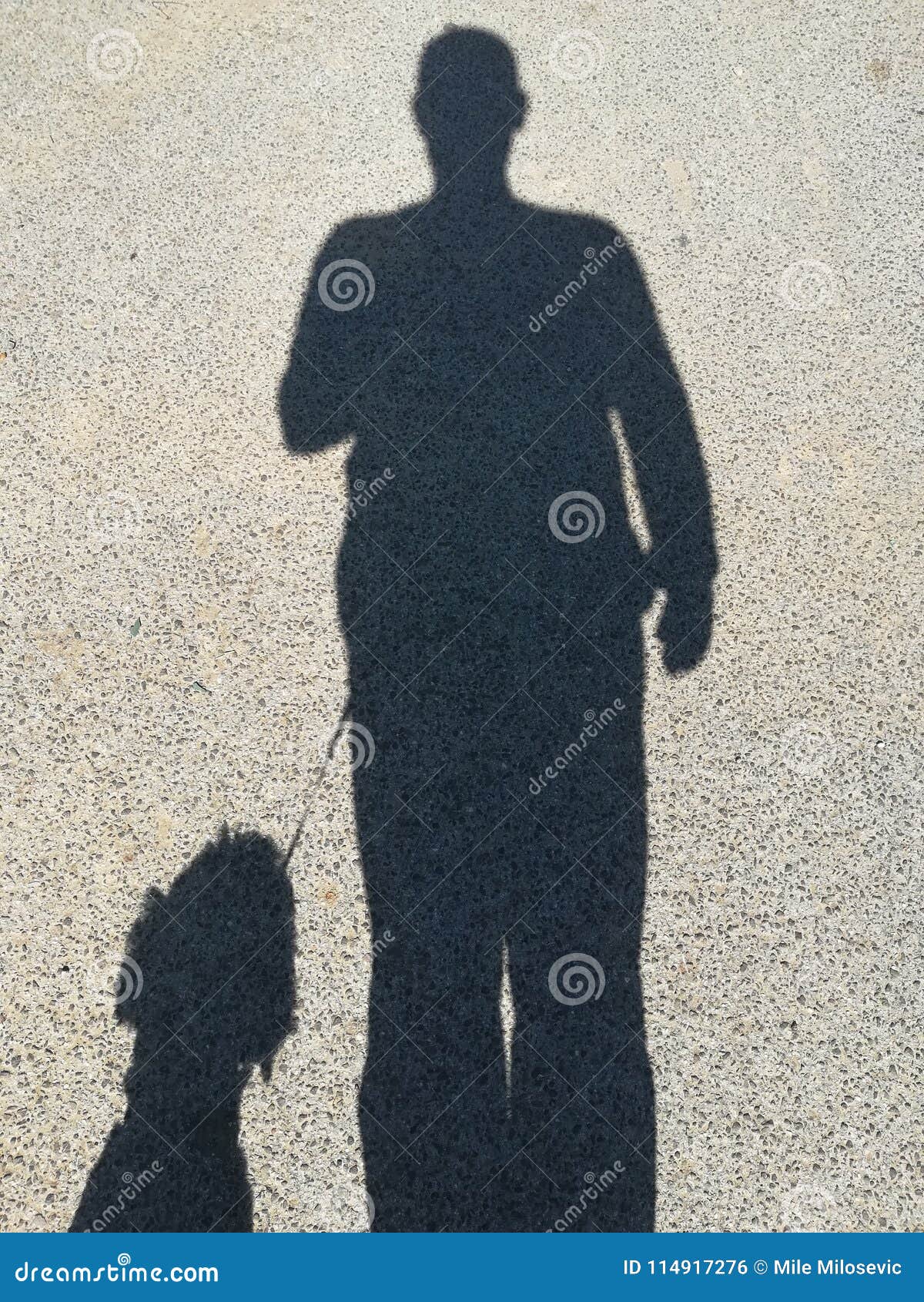 Shadow of a man with dog stock photo. Image of friends - 114917276