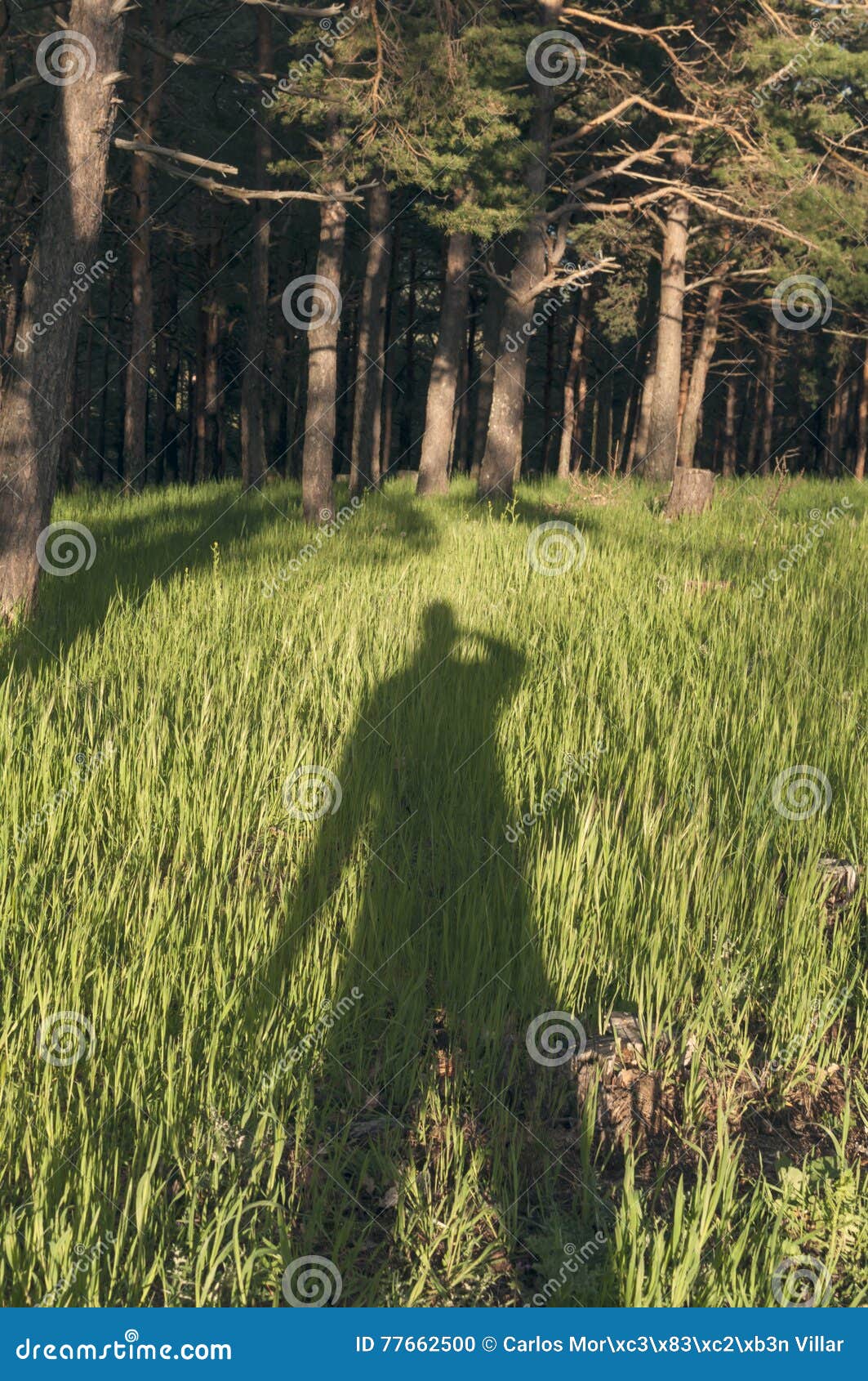 Shadow man on grass stock photo. Image of high, background - 77662500