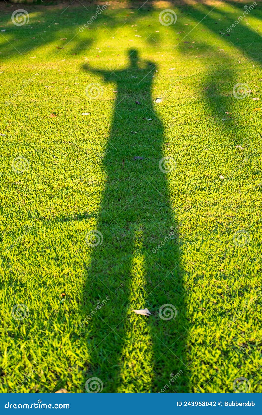 Shadow of Man on Lawn Green Background Stock Photo - Image of light ...