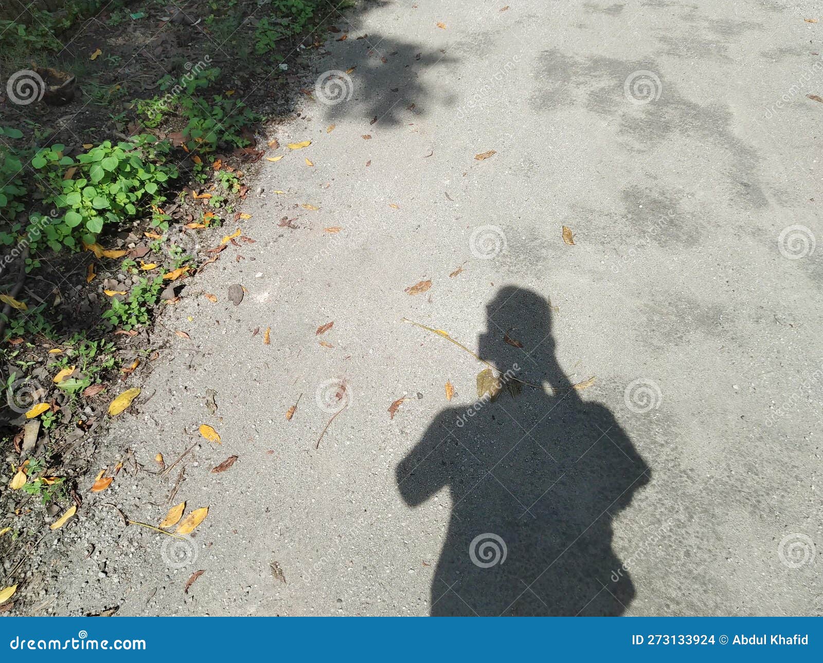 Male body shadow stock photo. Image of executive, soil - 273133924