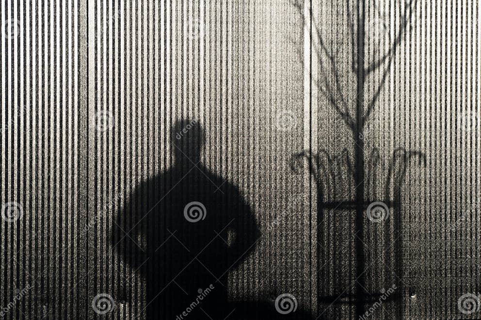 Shadow man and tree stock image. Image of impression - 37360213