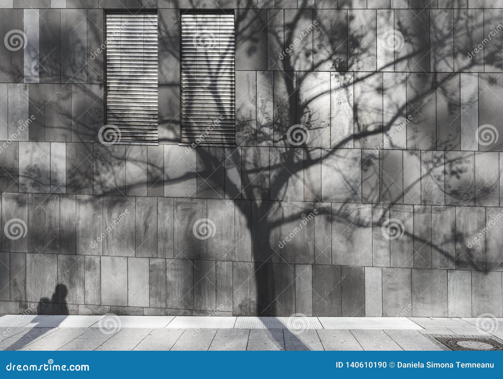 Shadow of a Man and a Tree on a Modern Wall Stock Photo - Image of ...