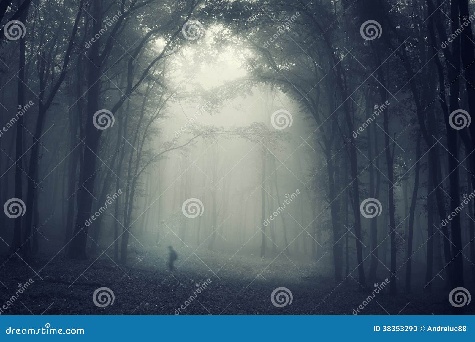 Shadow Of Man Walking Trough An Eerie Forest With Fog Stock Photo ...