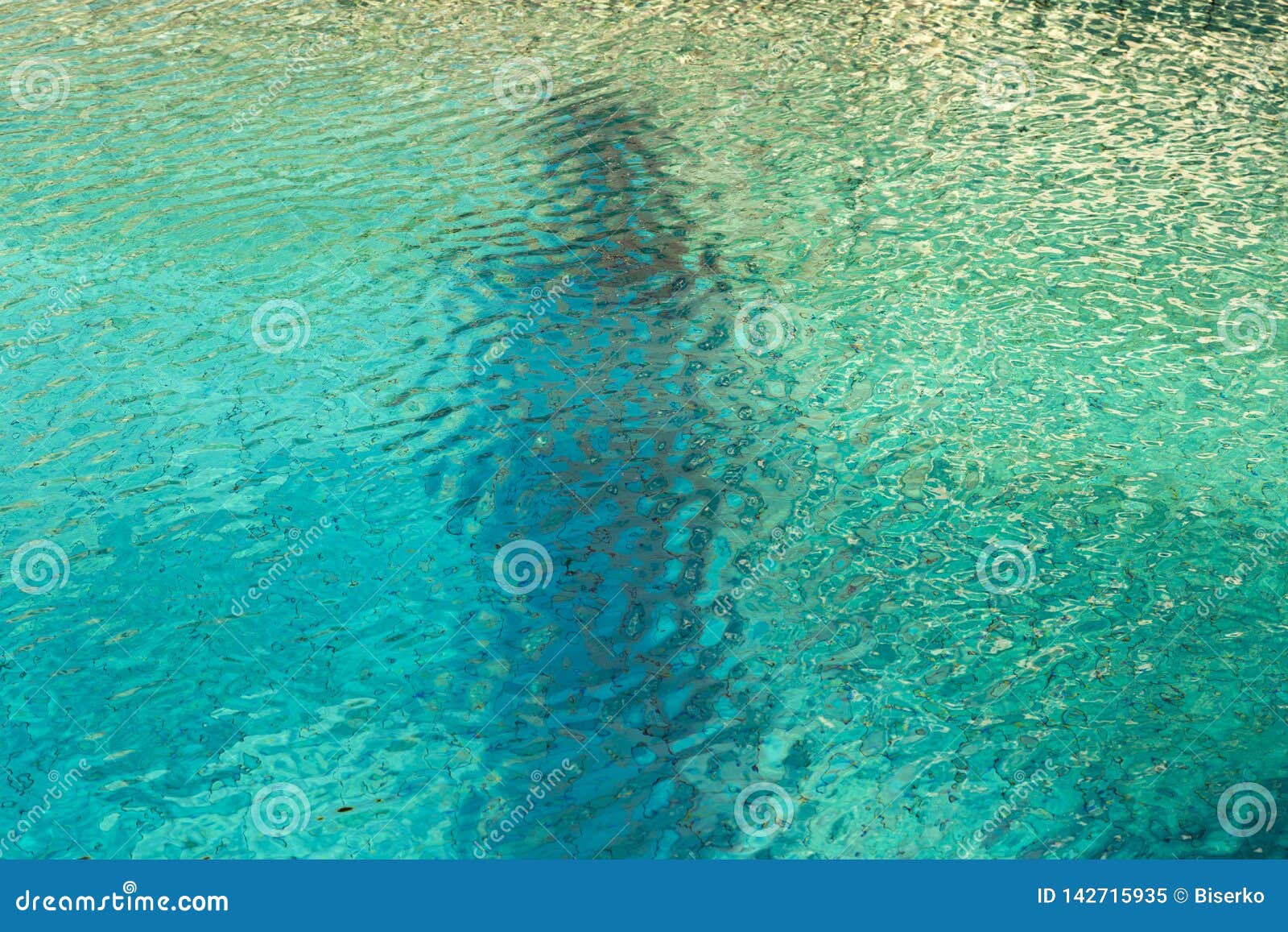 Shadow of the Man at the Water Stock Image - Image of concept, chill ...