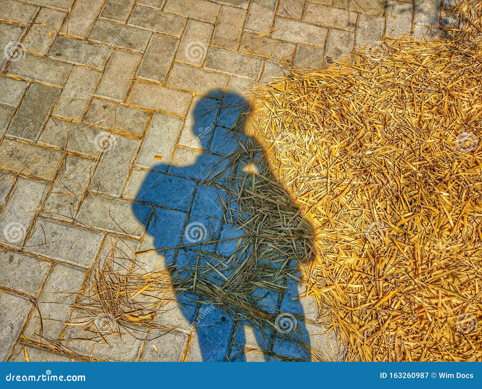 Shadow summer stock image. Image of abstract, summer - 163260987