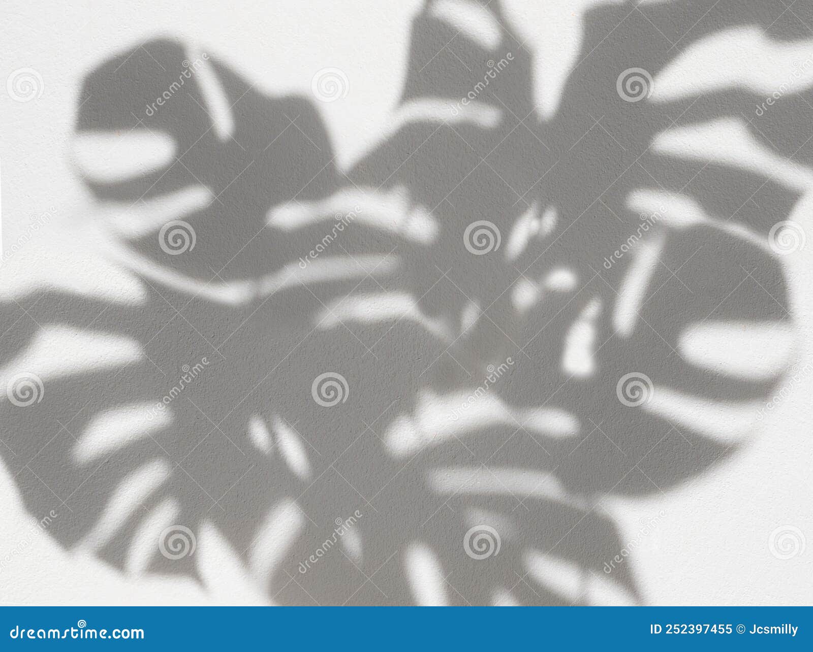 Shadow Monstera Leaves Houseplants for Background and Mock Up Stock ...