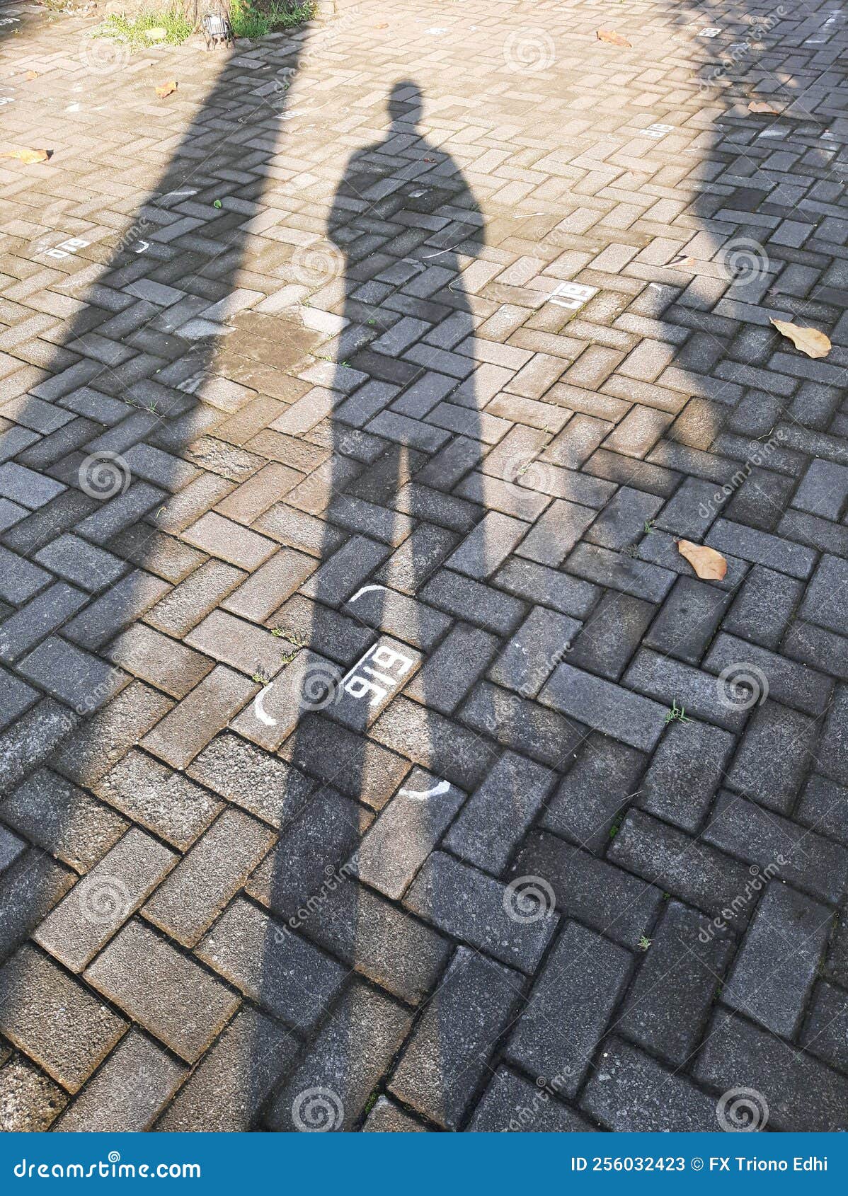 Shadow in the morning stock image. Image of shadow, stonewall - 256032423