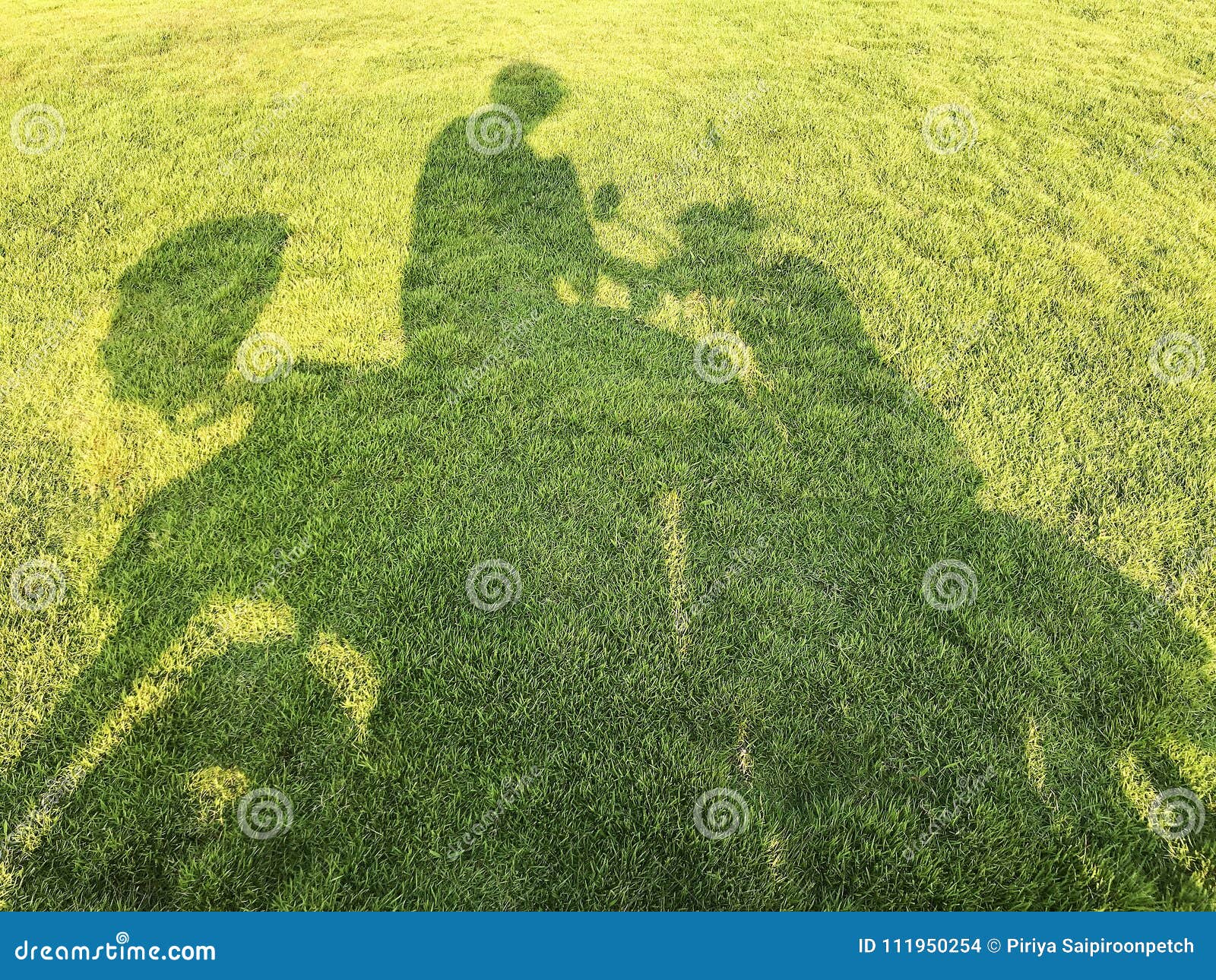 Shadow of a Motorcycle Driver on Grass. Stock Photo - Image of shape ...